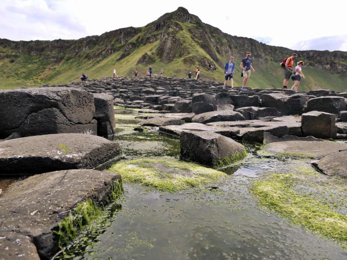 Grobla Olbrzyma | Irlandia Północna | Blog Podróżniczy