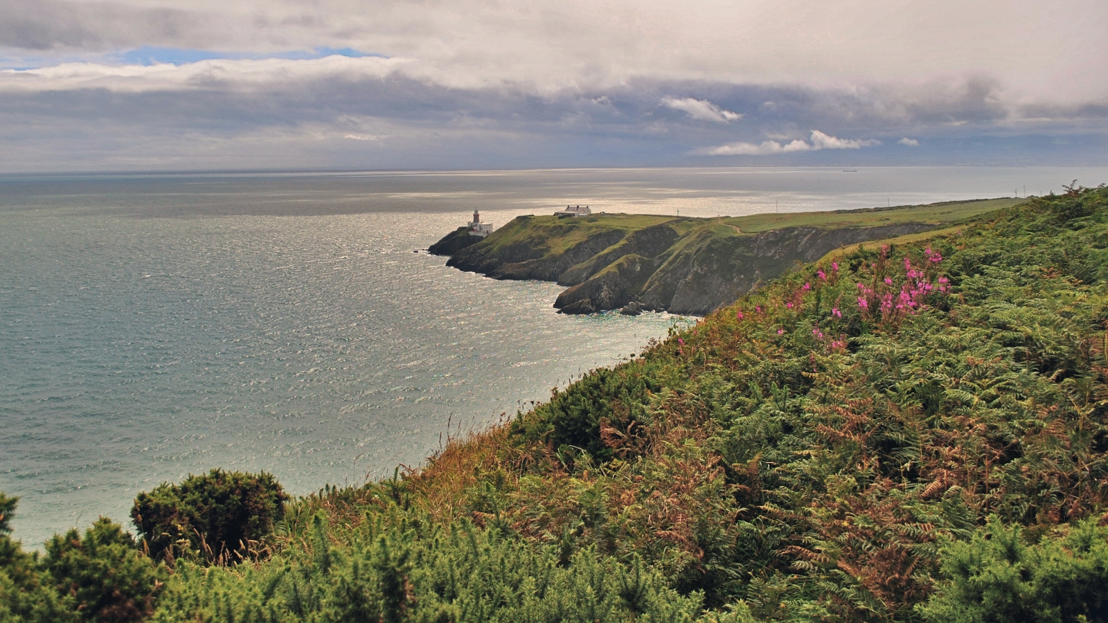 Irlandia | Klify w Howth | Dublin | Blog Podróżniczy